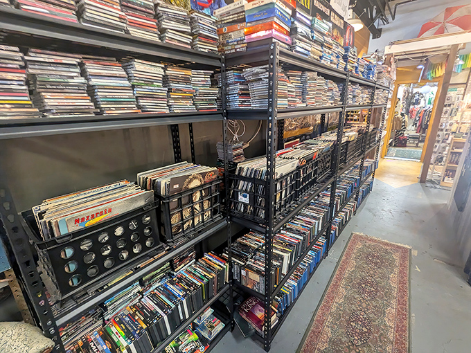 Media collectors rejoice at shelves stacked with vinyl records, VHS tapes, and DVDs – physical artifacts from entertainment eras before streaming changed everything.