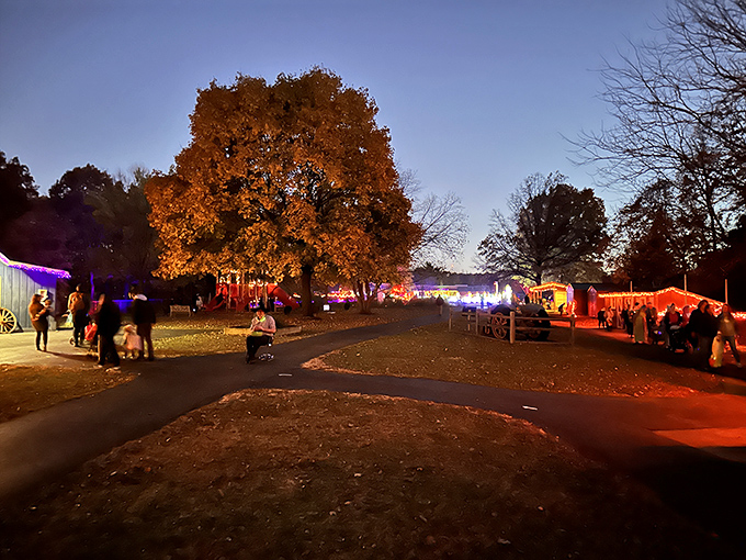 Evening transforms the farm into a magical landscape where twinkling lights guide families through seasonal celebrations.