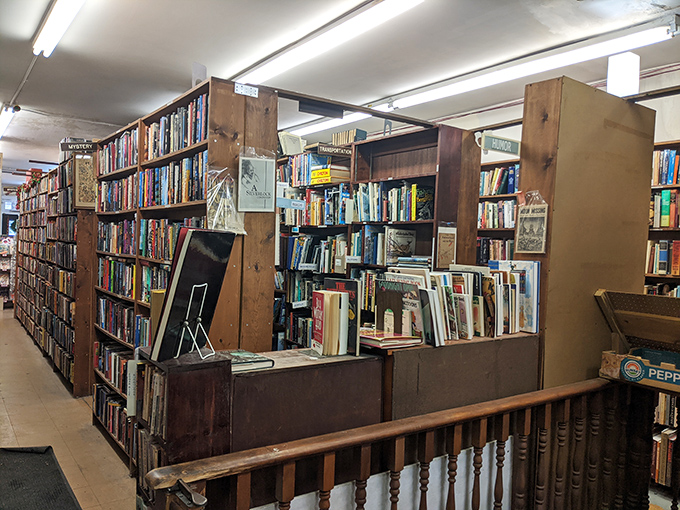 Wooden shelves with that beautiful patina of age create a warm, inviting atmosphere that digital bookstores simply cannot replicate.