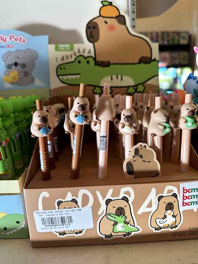 Even the pens here are adorable, because apparently everything in a good bookstore needs to spark joy, Marie Kondo style.