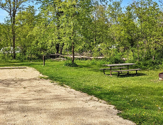 This picnic table waits patiently for your sandwich masterpiece, offering dining with a view no 5-star restaurant could match.