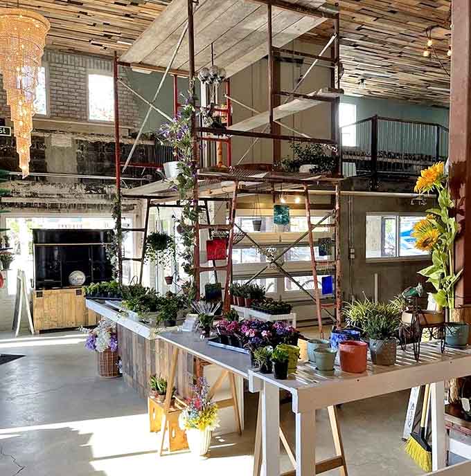 Greenery cascades from industrial shelving, bringing life and oxygen to a space where sunlight streams through windows onto carefully arranged flora.