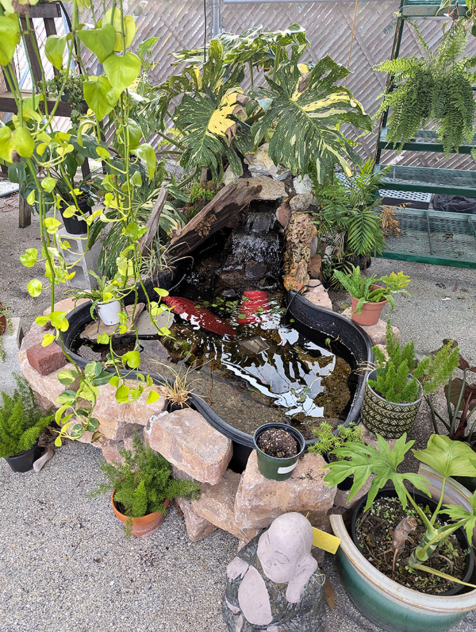 The outdoor garden area offers a tranquil respite, where concrete statuary and trickling water create a secret oasis among the treasures.