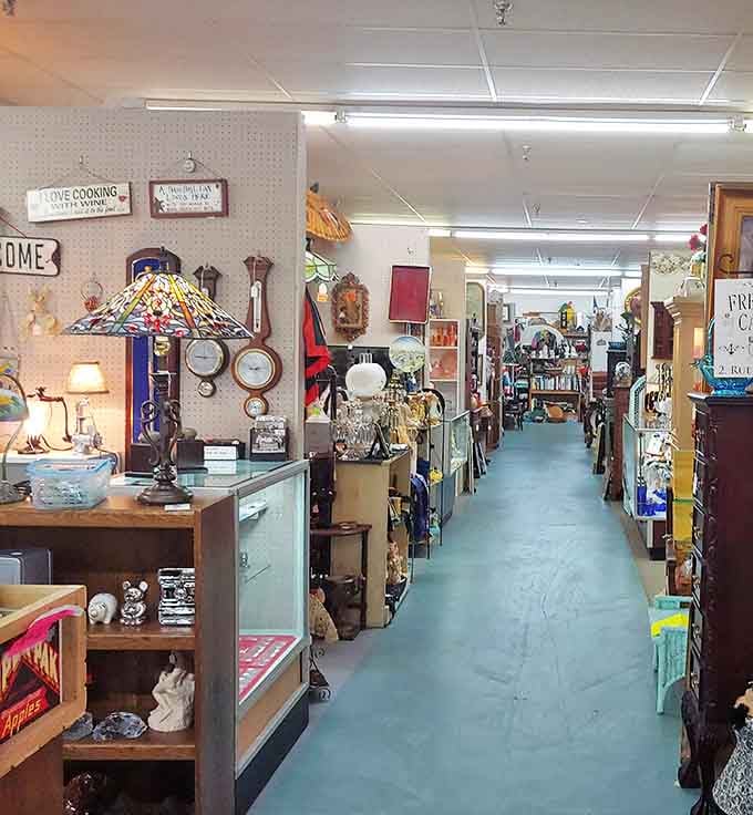 Wandering these corridors feels like exploring your eccentric great-aunt's attic—if she happened to collect everything cool from the last century.