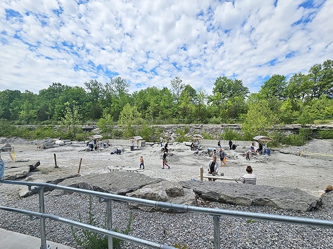 From this vantage point, the fossil beds stretch wide, dotted with bent figures engaged in Earth's most democratic treasure hunt.