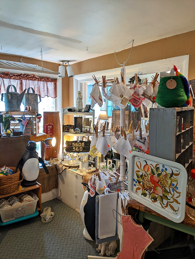 This delightfully cluttered corner showcases everything from vintage signs to repurposed furniture, creating the kind of organized chaos that makes treasure hunting so addictively fun.