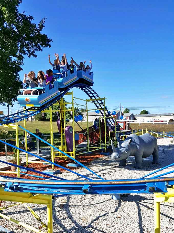 The roller coaster delivers just enough thrills to elicit genuine screams without requiring signed waivers or anxiety medication beforehand.