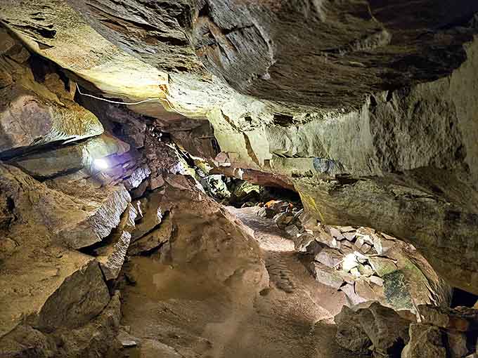 Navigating through ancient limestone chambers feels like walking through Earth's own cathedral. The acoustics are surprisingly good too!