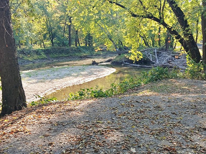 Sunlight streams through the trees, illuminating the path to one of Illinois' most notorious paranormal hotspots.