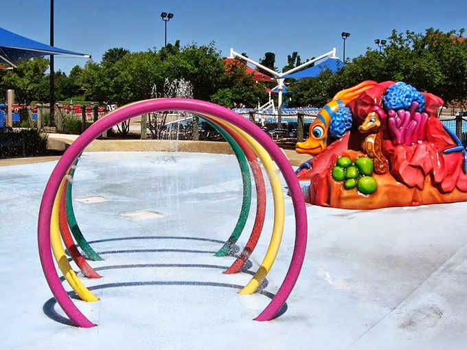 Engineering meets imagination in this multi-colored water playground where every pipe, spray, and platform serves up a different flavor of fun.