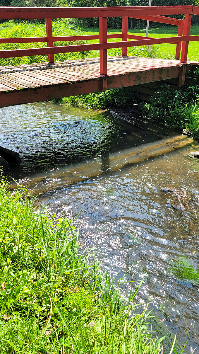 Nature's original water park &ndash; this gentle stream offers pint-sized explorers the perfect place to build dams, hunt for minnows, and get gloriously muddy.