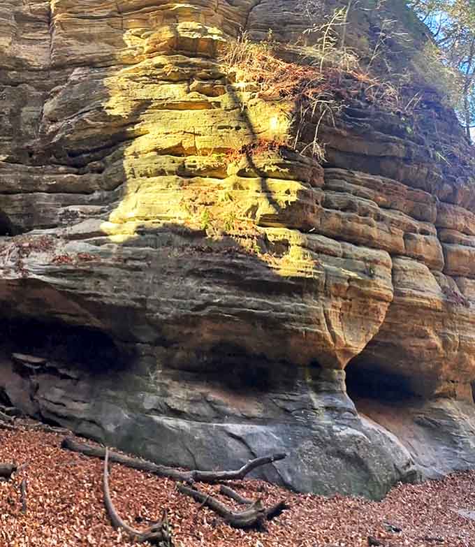 Sunlight illuminates the layered rock like nature's own geology textbook, written in stone over thousands of patient years.