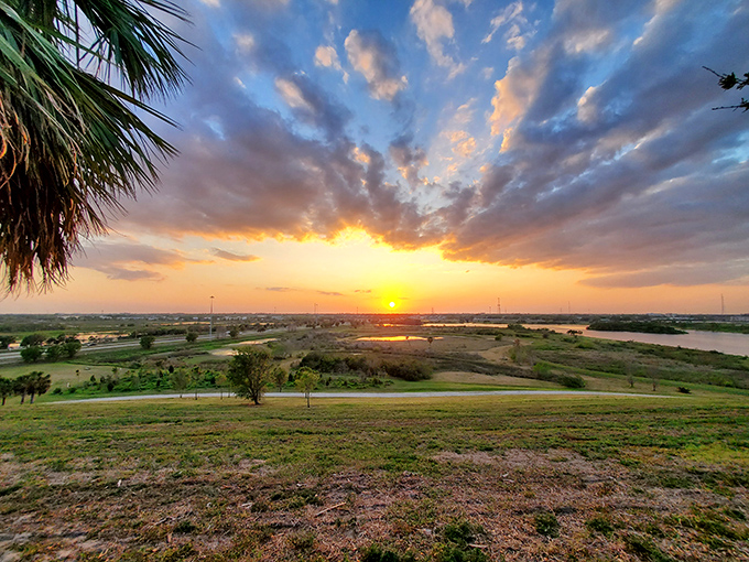 Golden hour transforms Celery Fields into a painter's dream, with light spilling across the landscape like warm honey.