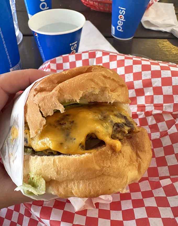 This cheeseburger is what dreams are made of, juice running down your fingers, cheese melted just right, pure burger bliss.