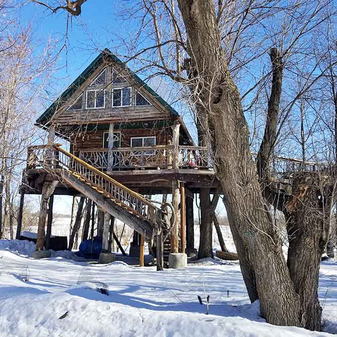 The Treehouse rises majestically among winter-bare branches, proving that childhood dreams can grow into architectural reality with enough imagination.