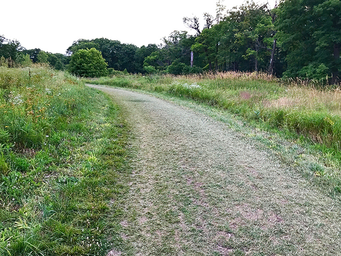 Winding trails invite exploration through meadows and woodlands, where every turn reveals new perspectives on this historic landscape.