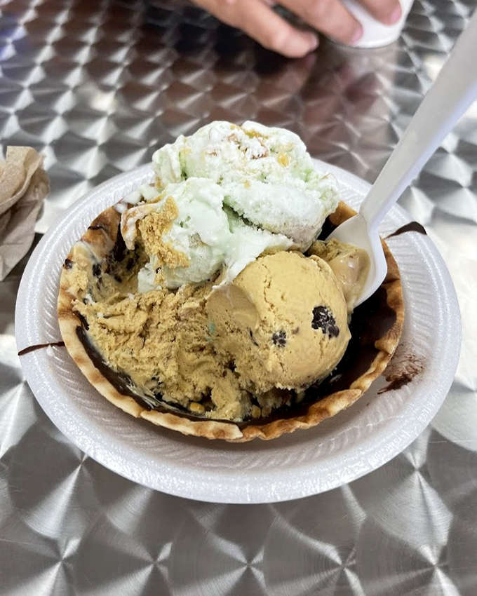 Triple scoops of vegan goodness prove that plant-based options can absolutely hold their own, delivering variety and flavor that satisfy everyone at the table.