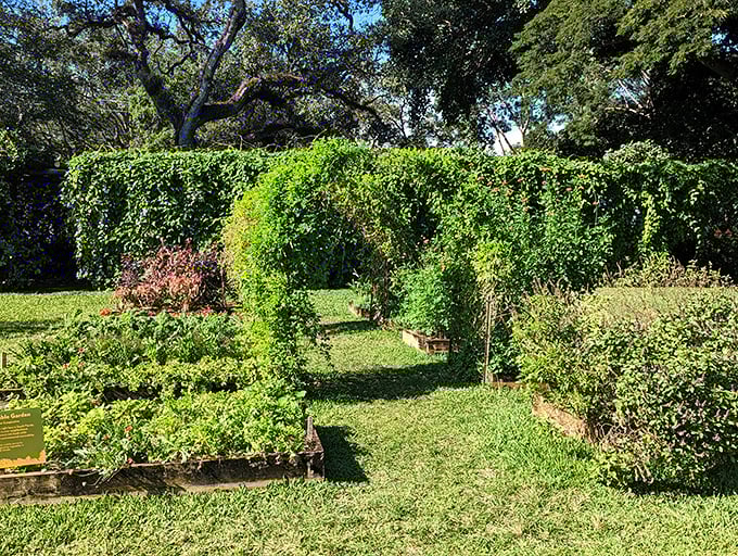 Nature's green archway invites garden explorers to duck through and discover what treasures await on the other side.