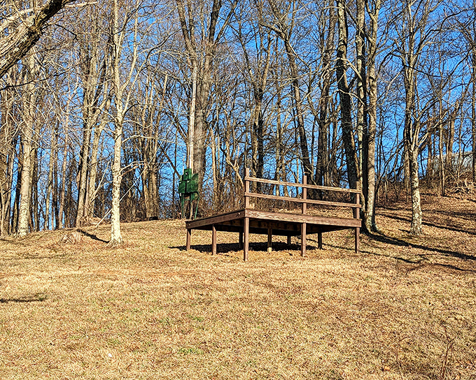 A rustic wooden platform offers a moment of rest amid the forest, perfect for contemplating life's bigger questions.