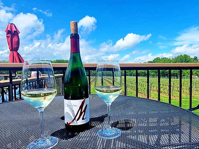 A solitary glass of white wine frames the vineyard view – sometimes the simplest pleasures are the most profound.