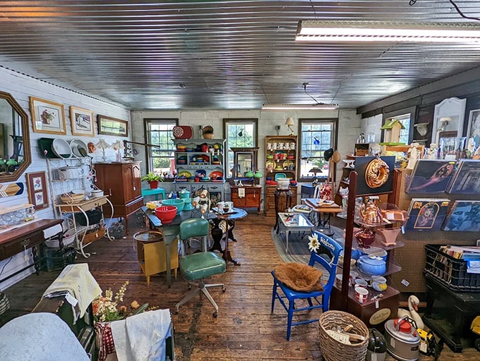 The mix of vintage home goods and seasonal decorations creates a time-traveling shopping experience where every corner reveals another era's idea of domestic bliss and holiday cheer.