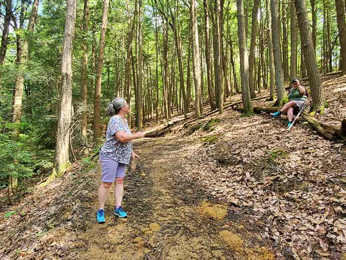 Trail companions: Fellow explorers pause to take in the magnificence of Hocking Hills' hidden treasures along the winding forest path.