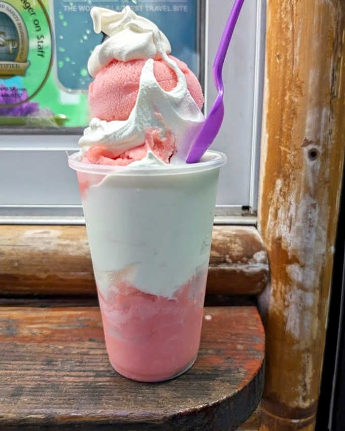 The Watermelon Zonkey float combines sorbet and soft serve in a cup of summer joy. It's like someone bottled a perfect beach day and added a straw.
