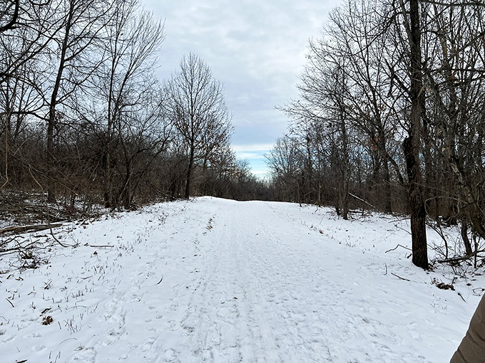 Winter transforms Palos into a snow-covered wonderland. The preserves become eerily quiet, sound absorbed by the fresh powder.