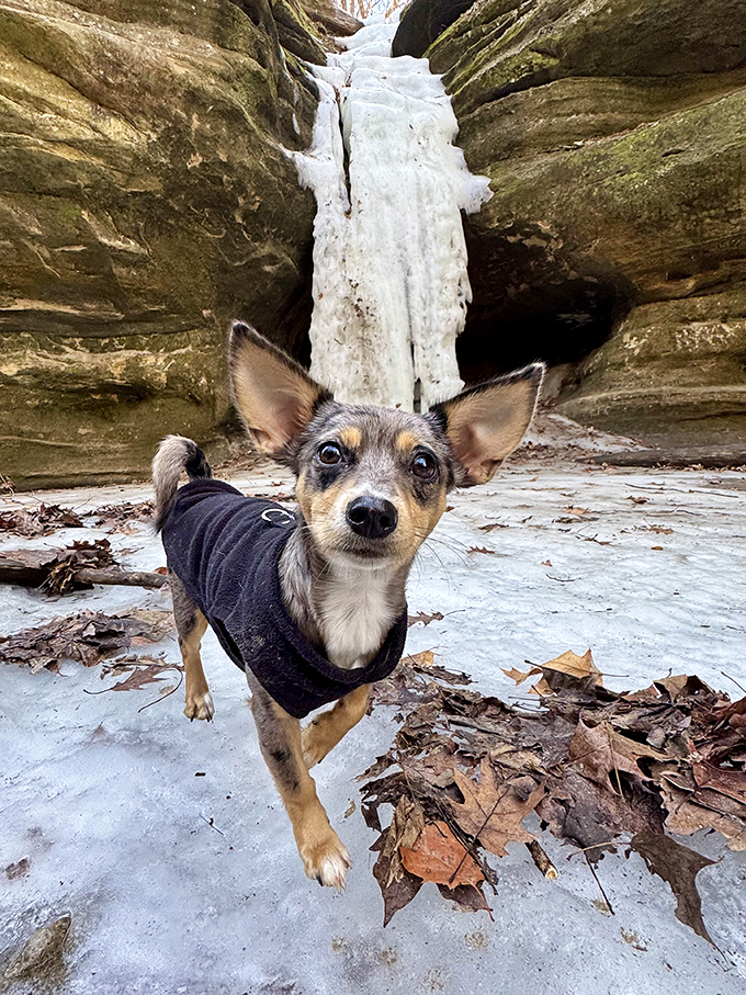 Winter's magic transforms the waterfall into a frozen sculpture, creating an ethereal ice formation that looks like it belongs in Elsa's castle.