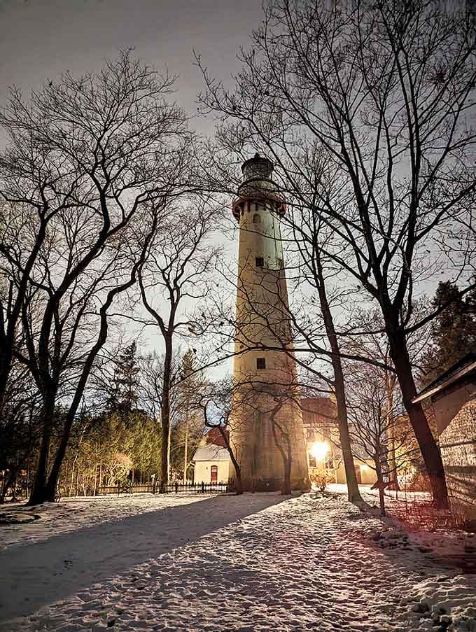 Nightfall transforms the lighthouse into a ghostly silhouette, its tower rising dramatically between bare winter branches like something from a maritime fairy tale.