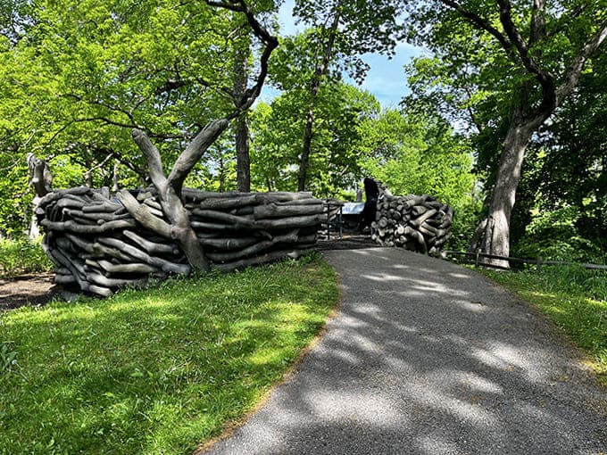 Autumn transforms the trail into a golden corridor where every step crunches with satisfying certainty, and the trees show off like they're competing for best fall colors.