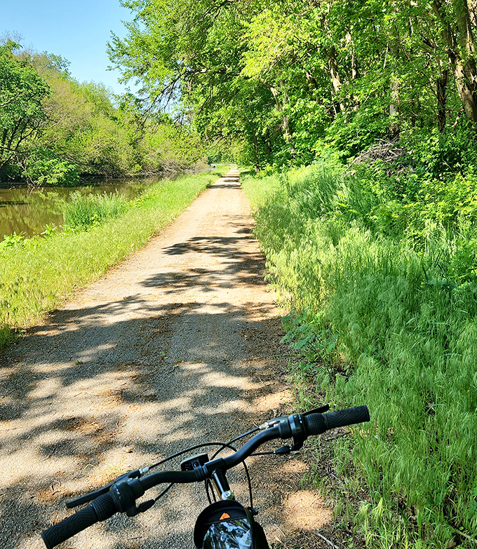 Dappled sunlight guides cyclists along this serene trail, where nature provides the perfect soundtrack for a leisurely ride.