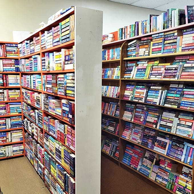 Floor-to-ceiling literary real estate creates the satisfying sensation of being completely surrounded by potential adventures.