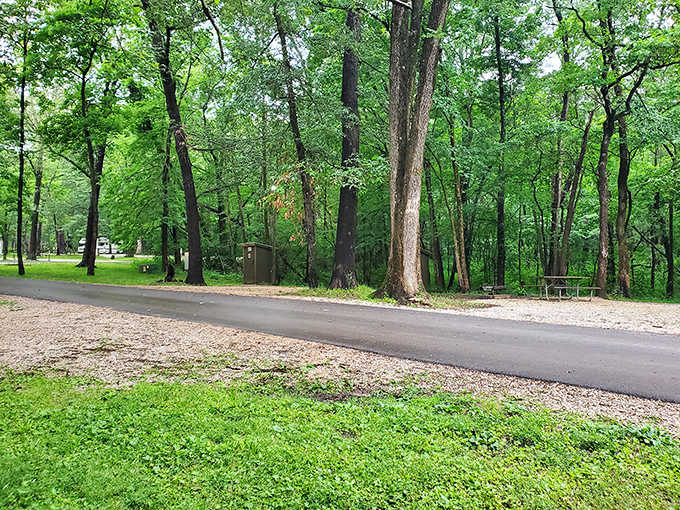 Campground perfection: where paved roads meet pristine forest, offering civilization's comforts without sacrificing nature's embrace.