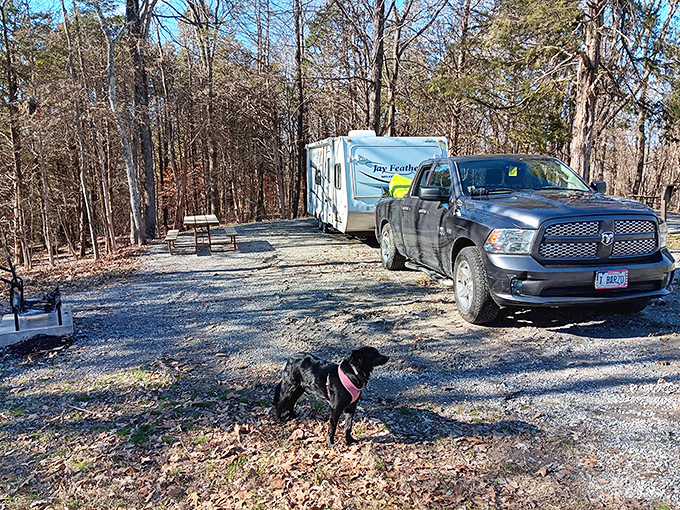Camping Area: Settle in at Deer Ridge Campground for a cozy night under the stars with your truck, trailer, and pup.