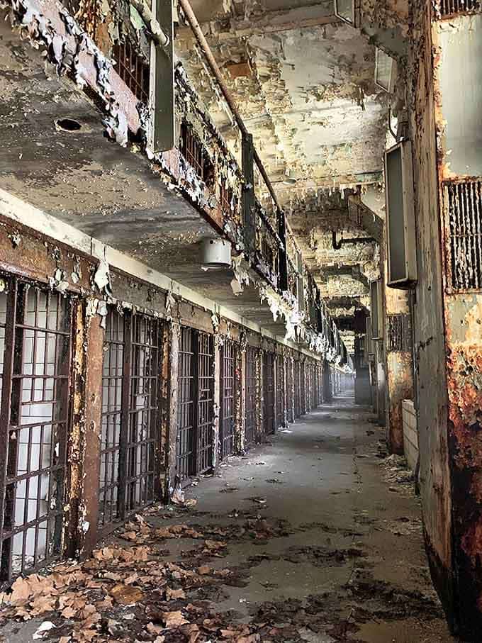 Row after row of tiny cells stretch into the distance, each one a small universe of confinement and contemplation.