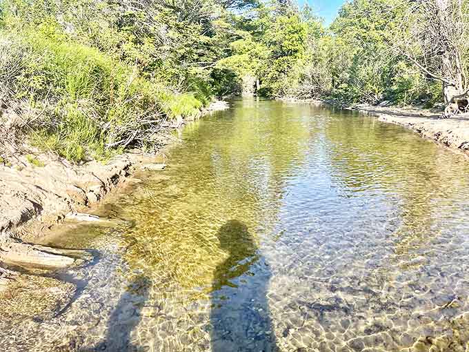 Sunlight dances on Otter Creek's transparent waters, revealing a pristine streambed that looks like nature's version of a spa.