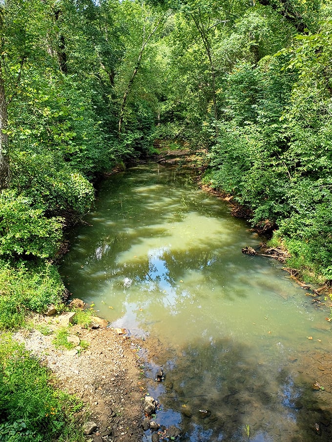 Crystal clear waters of Raccoon Creek reflect the lush greenery surrounding the old railway path.