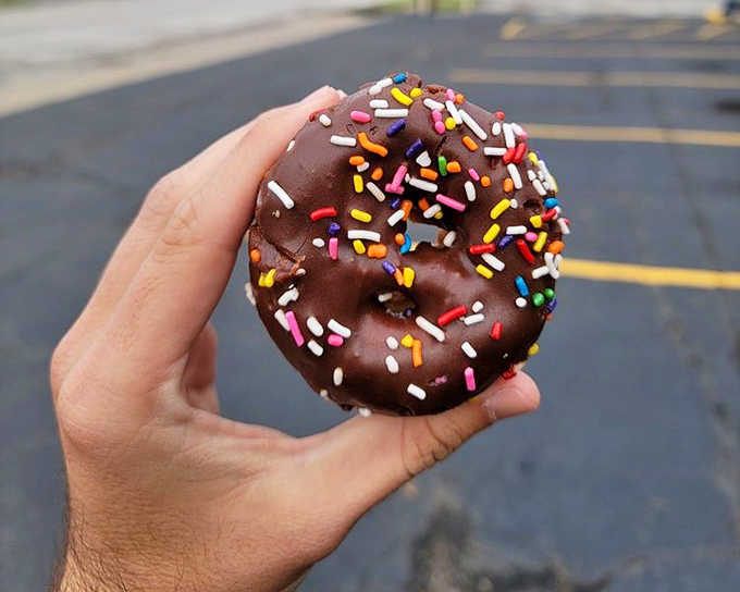 A chocolate-glazed donut with rainbow sprinkles &ndash; childhood nostalgia in edible form, proving that sometimes happiness is as simple as colorful sugar on fried dough.
