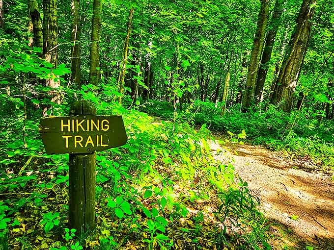 "Hiking Trail" &ndash; two simple words that promise adventure, exercise, and the possibility of getting just lost enough to find yourself.