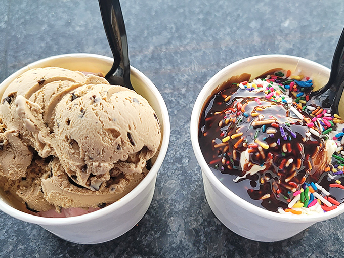 A study in contrasts &ndash; coffee ice cream's sophisticated richness beside playful vanilla with chocolate sauce and rainbow sprinkles.