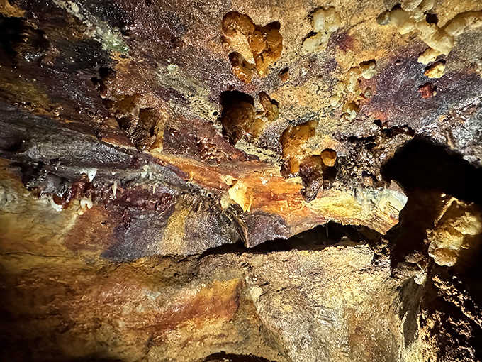 This unusual formation showcases the living nature of caves, where mineral-rich water continues to sculpt the underground landscape.