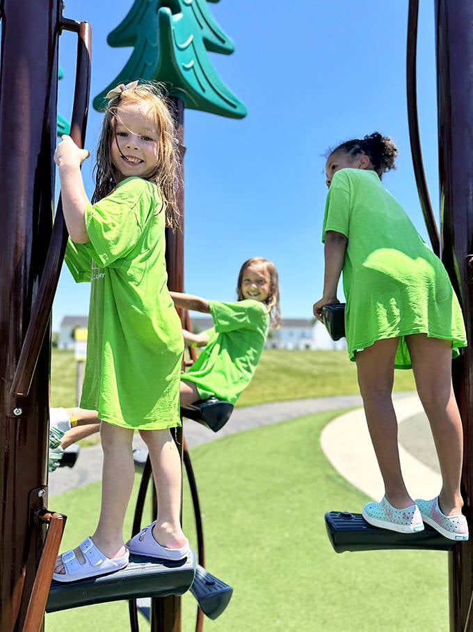 Climbing to new heights! These innovative play structures challenge developing muscles while colorful elements spark creative storytelling opportunities.