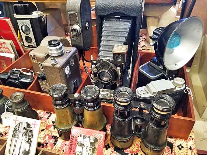 A photographer's dream collection &ndash; vintage cameras and binoculars that captured moments long before selfies were invented.
