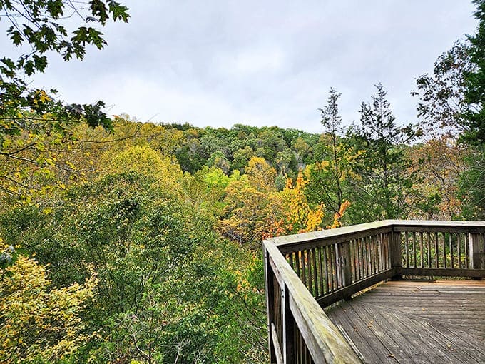 The observation deck offers panoramic views that transform with each season, nature's ever-changing masterpiece on display.