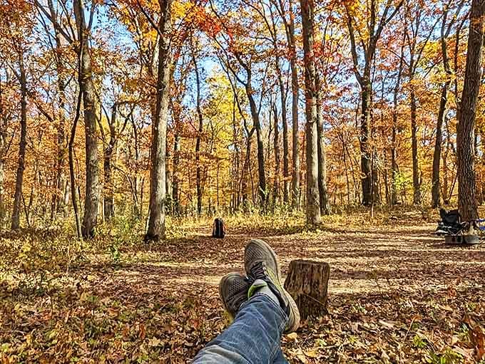 Sometimes the best therapy comes free of charge &ndash; just add comfortable shoes, a forest floor, and absolutely zero agenda.
