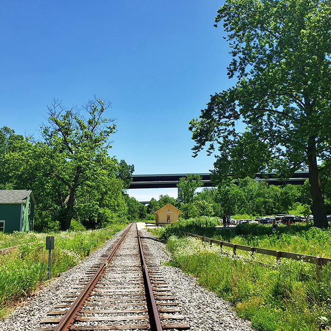 Railroad tracks cutting through verdant landscape &ndash; steel arteries that once carried the lifeblood of industry, now delivering adventure.