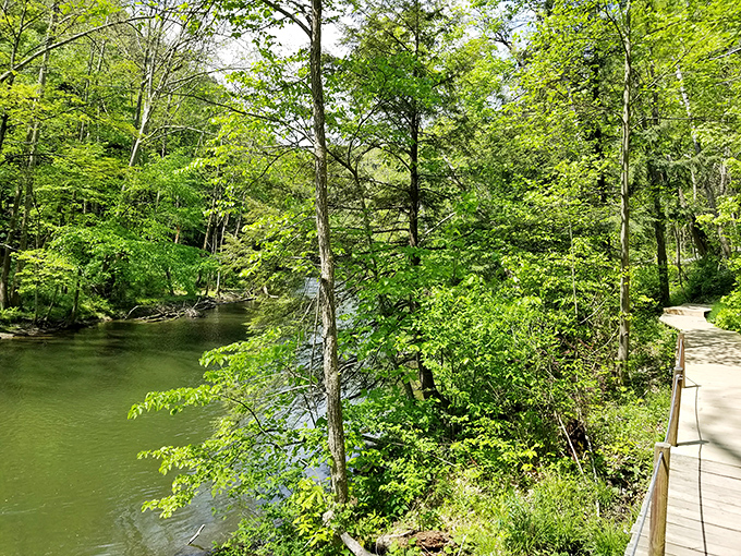 The river trail hugs the water's edge, offering hikers front-row seats to nature's most soothing soundtrack &ndash; no headphones required.