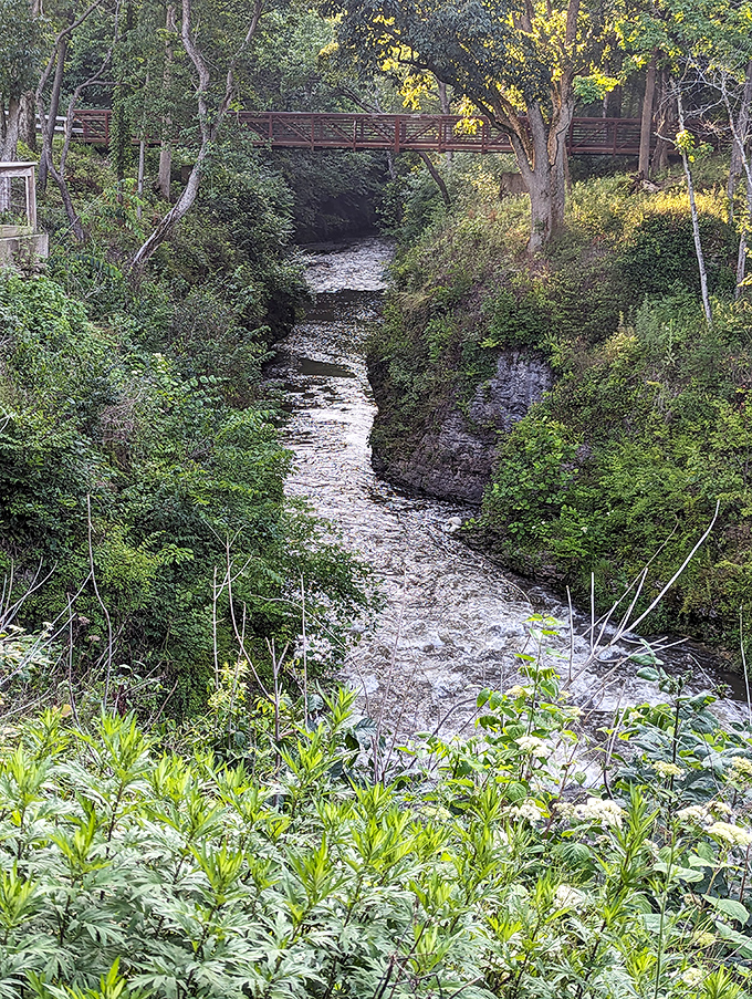 Massie Creek carves its determined path through limestone walls, a reminder that persistence can reshape even the hardest obstacles.