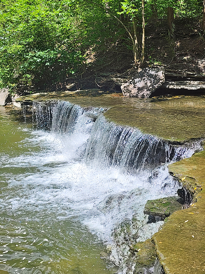 Water tumbles dramatically over the rocky ledge, nature's own performance art that never takes a day off.